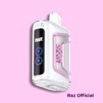 Raz Vape Strawberry Ice TN9000 | 9K Puffs | Disposable Vape