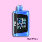RAZ Vape DC25000 | Disposable Vape | All Flavors Available