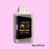 RAZ Vape DC25000 | Disposable Vape | All Flavors Available