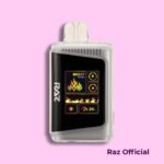 RAZ Vape DC25000 | Disposable Vape | All Flavors Available